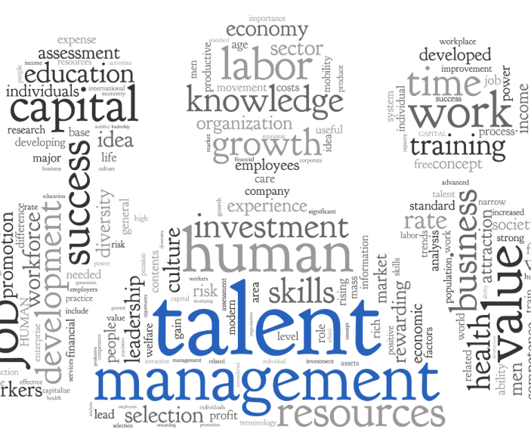 Navigating Talent Management in the Global Economy: Key Challenges and ...